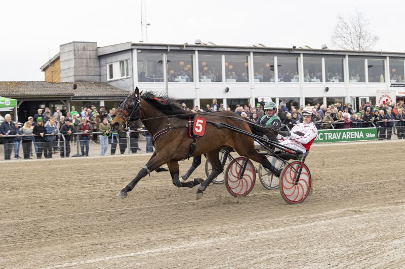 Fly Equos Jet – Vinder Pay Dirts Mindeløb 2024 - Travet.dk