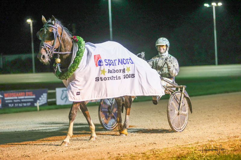 Kungfufighting vandt Aalborg Store Pris - Travet.dk