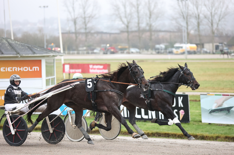 Kan Point Of Perfect vinde igen? - Travet.dk