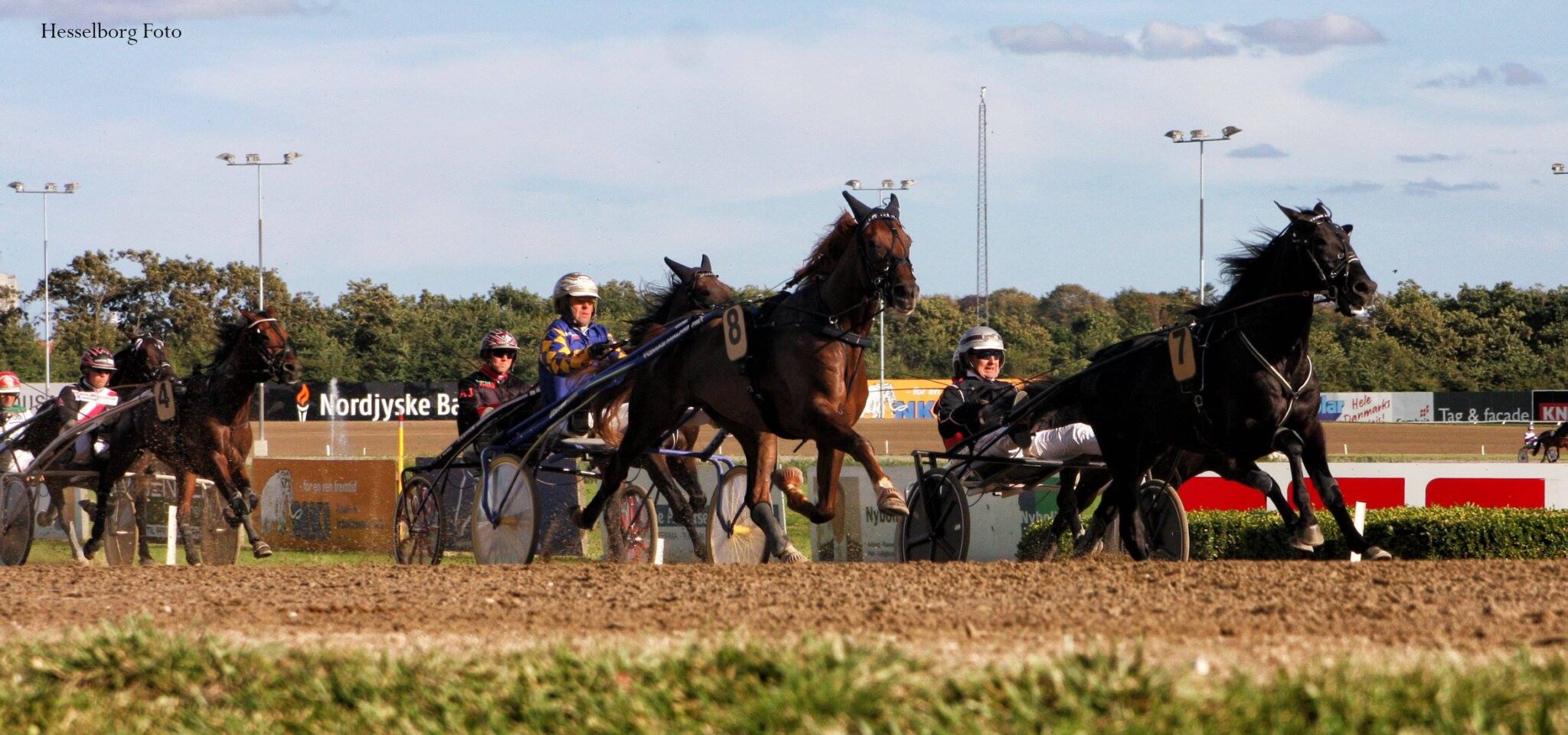 Vi satte os sammen med Jeanette M. Hansen - Travet.dk