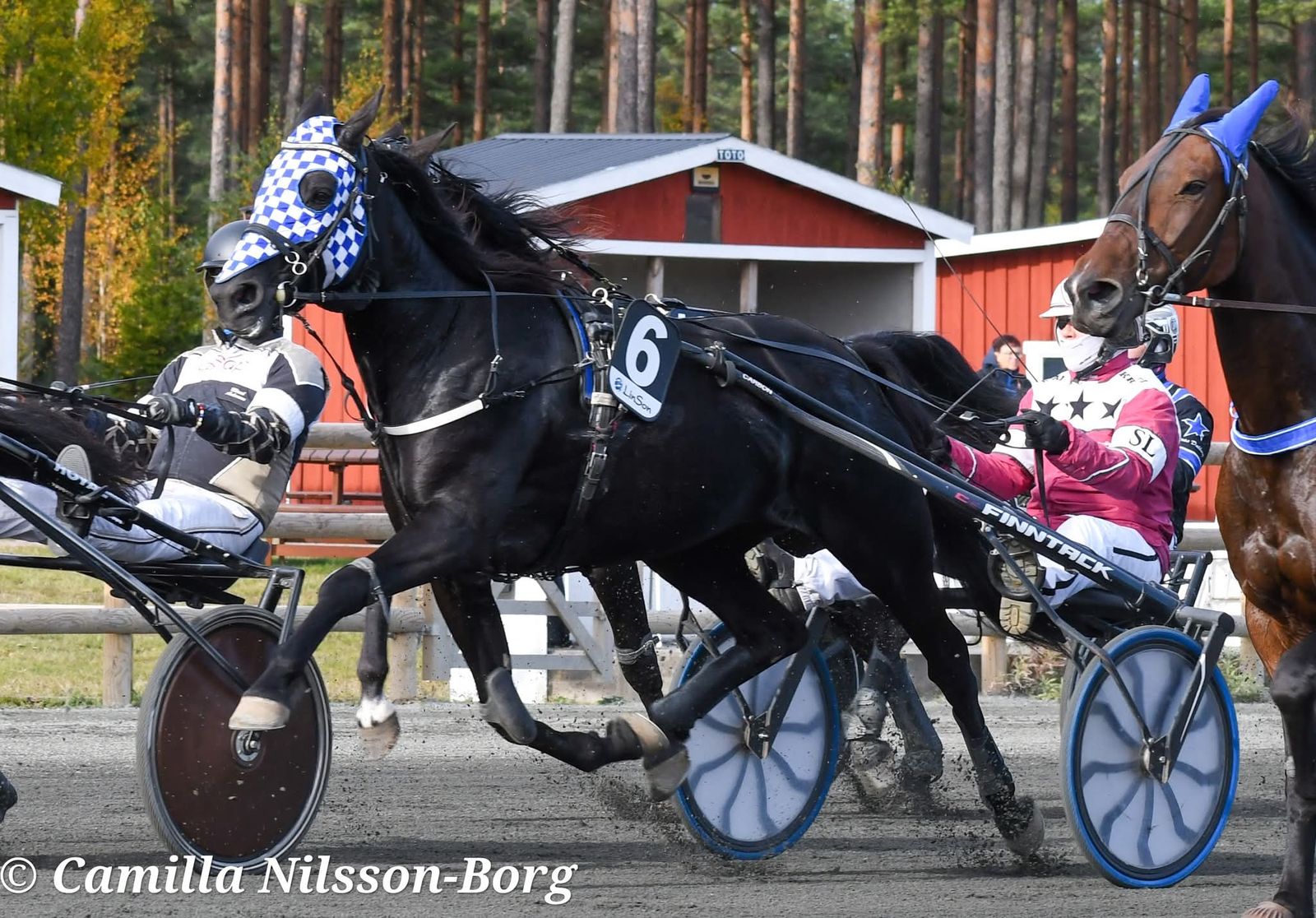 Kan Morten Friis gentage succesen med Gry Bruuns nyerhvervelse - Travet.dk