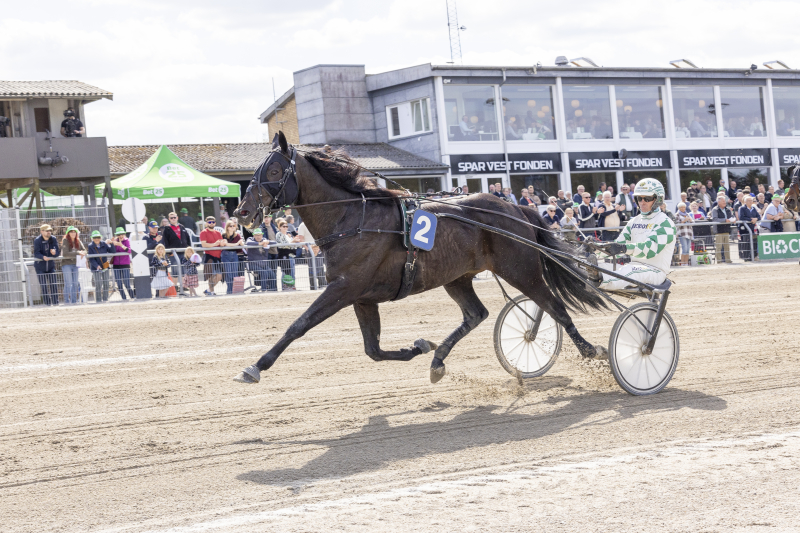 Flemming Jensen fortsætter stimen - Travet.dk